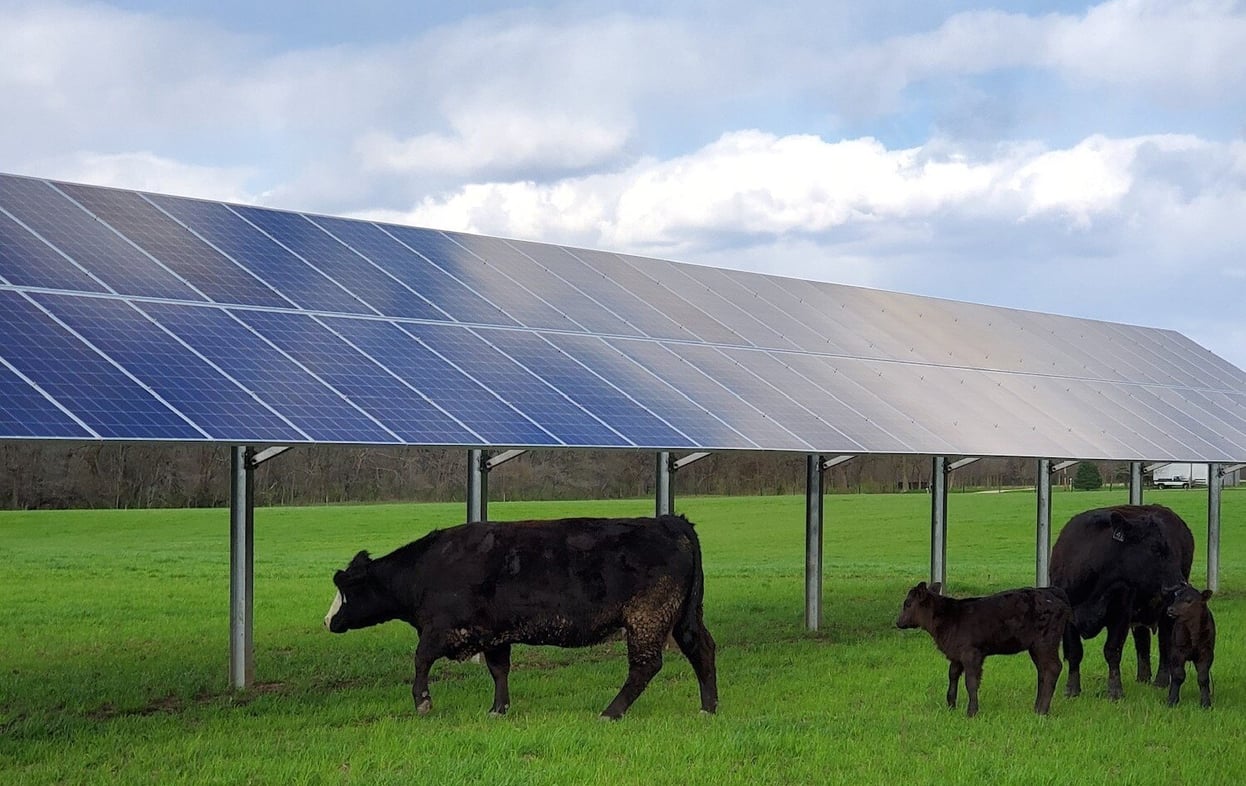 Finding the Best Location: Ground vs. Roof Mount Solar Panels