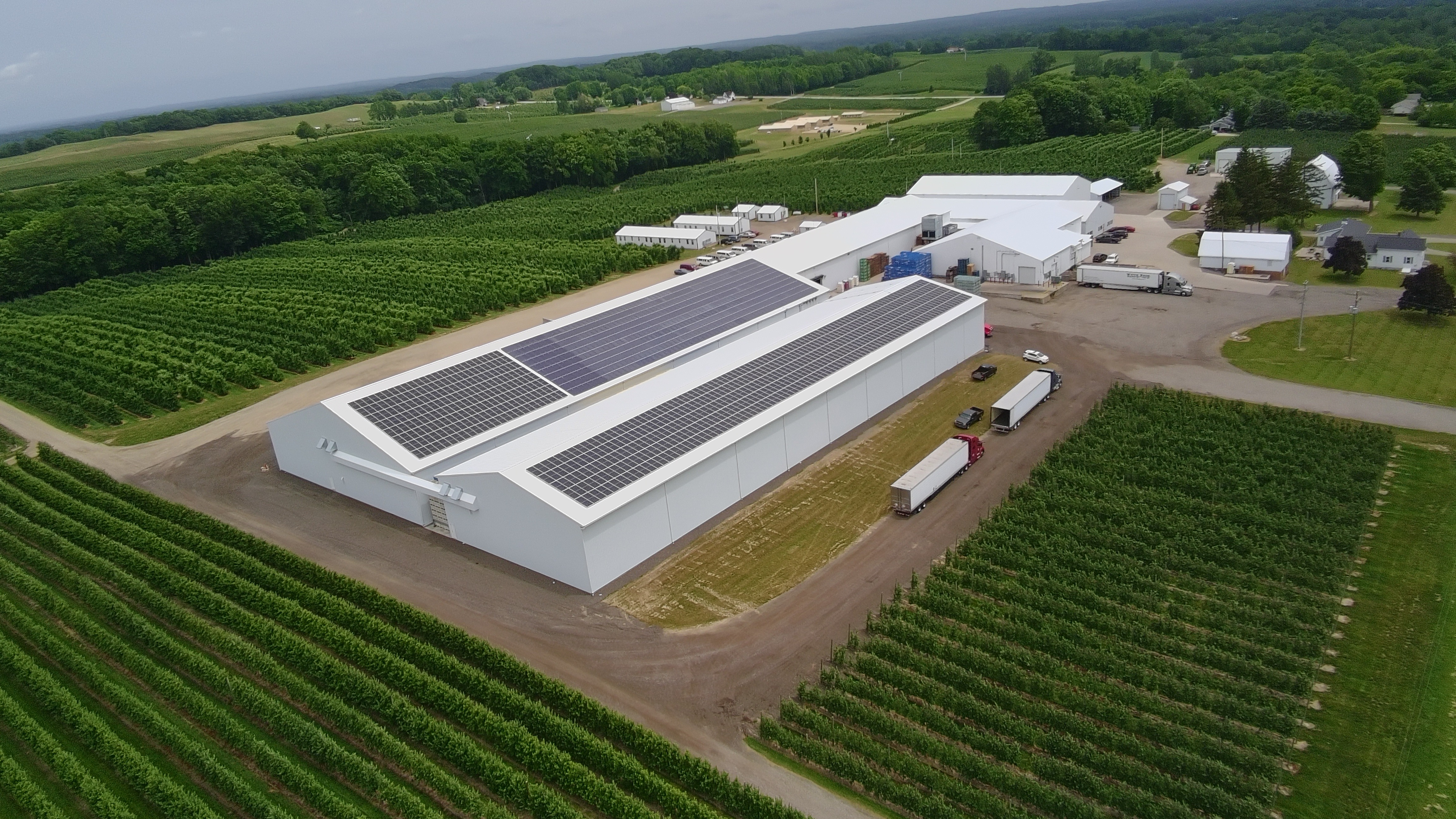 Why Solar is the Perfect Match for Cold Storage Facilities